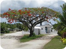 The only detailed independent guide to all the Cook Islands